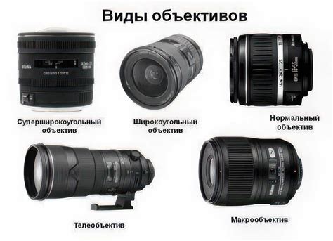 Фикс или зум объектив: что выбрать начинающему фотографу
