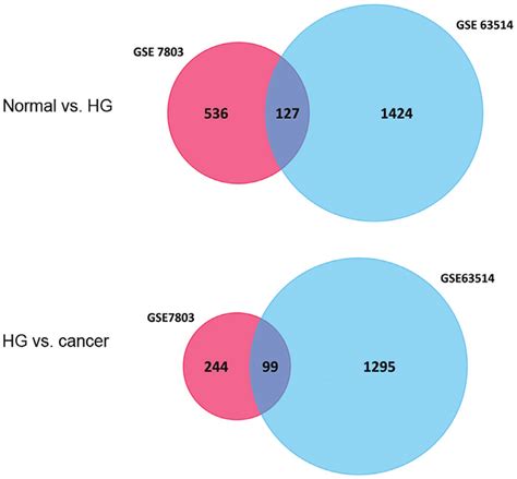 venn diagram illustrating the number of degs in the mrna microarray