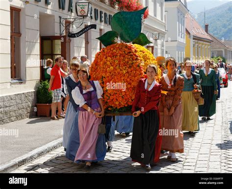 Procession For The Marillenfest Apricot Festival Spitz Wachau