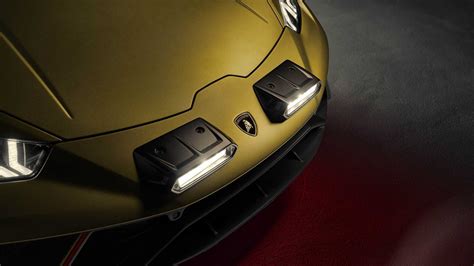 هوراکان استراتو تصاویر دقیق از متفاوت ترین گاو وحشی ایتالیایی