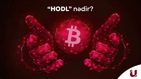Hodl Nədir