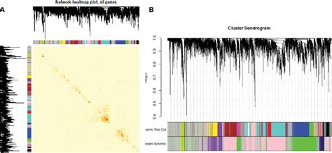 A Heat Map Of Gene Network Visualization The Darker The Shade Of Download Scientific Diagram
