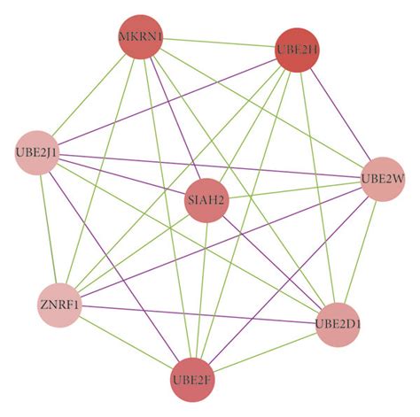 Hub Genes Extracted By Mcode Plugin From The Ppi Network Mcode Download Scientific Diagram