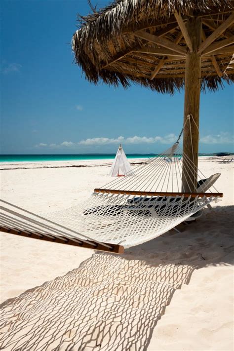 Hammock On The Beach