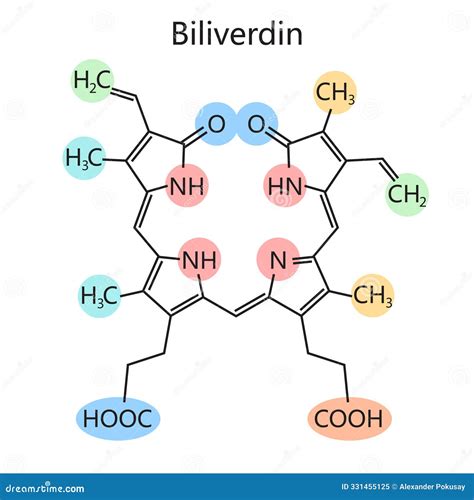 Hemoglobin Molecular Structure Diagram Medical Stock Illustration