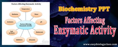 Factors Affecting Enzymatic Activity Ppt Easy Biology Class