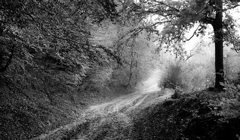 Introduction To Computer Vision Using Opencv