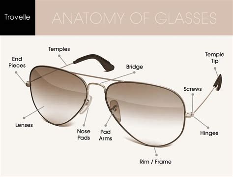 Expert Guide To Sunglass Anatomy Every Part Explained Sunglass Hub