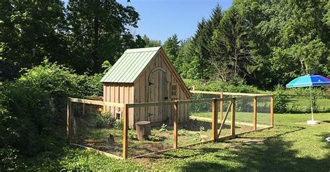 My Coop Album On Imgur