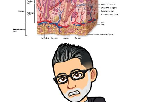 On Demand Integumentary CPT ICD 10 CM HCPCS Ohana Coding