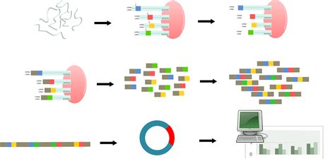 Clipart Serial Analysis Of Gene Expression