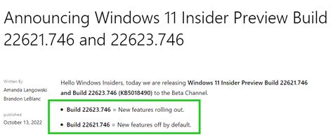 Win11 Beta 预览版 Build 22623 746 发布：支持重新排列托盘图标 系统屋