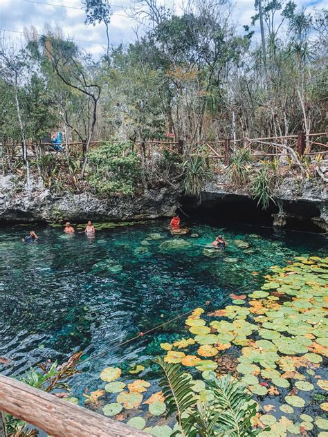 15 Best Cenotes Near Tulum That You Can T Miss Outside My Cubicle Artofit