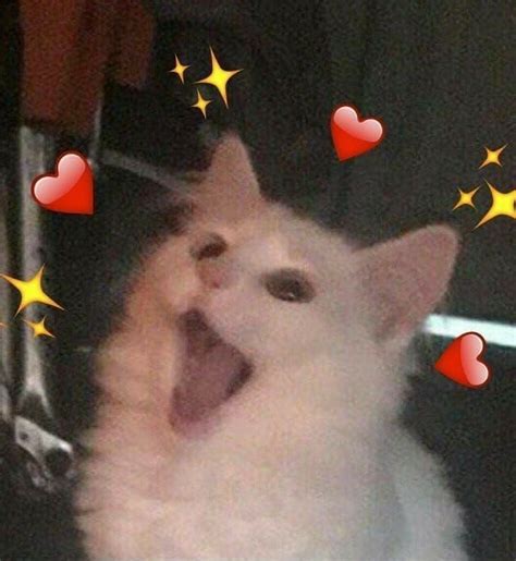 Skyblob 📌 Comms Open On Twitter I Wanna See This In The Finale… Zxupmkgkpz Twitter