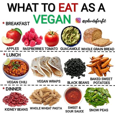 What Vegans Eat😎tag Someone Who Needs A Few Ideas🌱 Vegan Meal Plans