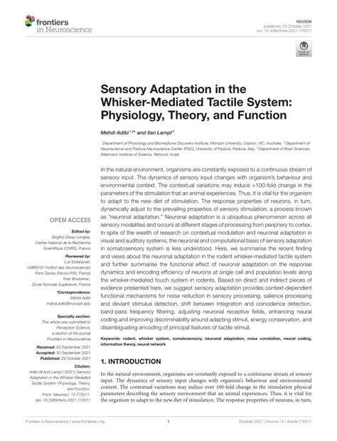 Pdf Sensory Adaptation In The Whisker Mediated Tactile System Physiology Theory And Function