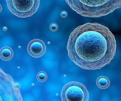 Civis Ba Students Invited To Take Part In The Civis Blended Intensive