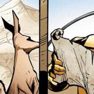 Kangaroo Character Comic Vine