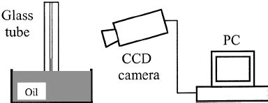 Experimental Setup For Capillary Flow Measurement Download Scientific Diagram