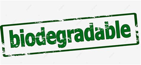 Biodegradable Rectangular Miscellaneous Rubber Vector Rectangular