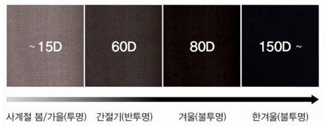 스타킹 데니아 종류 알아보기 데니아 데니아 데니아 등 모든 꿀팁들을 모아서