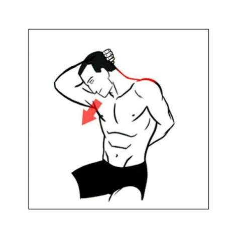Levator Scapula Stretch By Patricie K Exercise How To Skimble