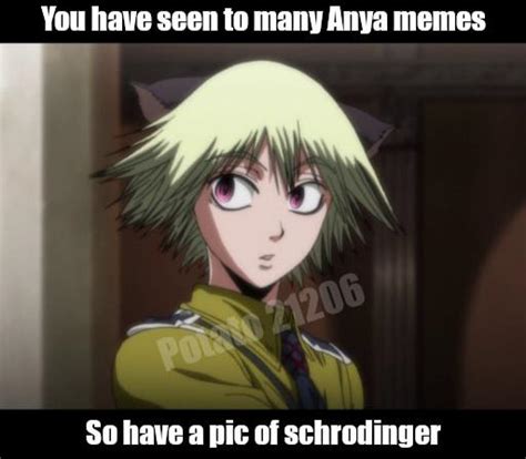 Schrodinger Is Best Cat Boy Also Sauce Is Hellsing Ultimate R