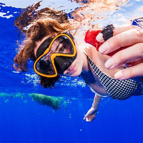 Shailene Woodley Saving The Oceans Of The Day