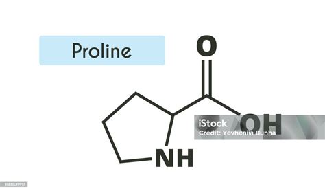 Proline Molecule Structure Stock Illustration Download Image Now