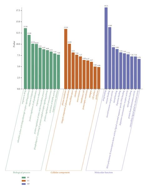 Go Pathway Analysis The Top 10 Download Scientific Diagram