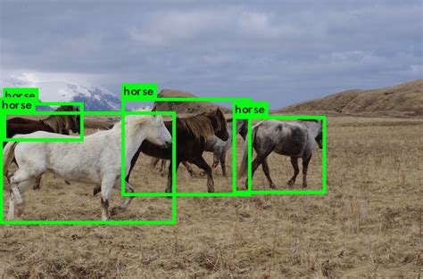 Using The Object Detection Api With A Custom Detector Stereolabs