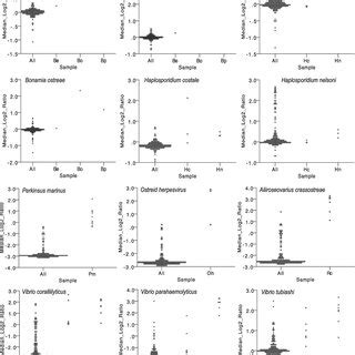 Distribution Of Minor Allele Frequency Of SNP Markers On The Eastern Download Scientific