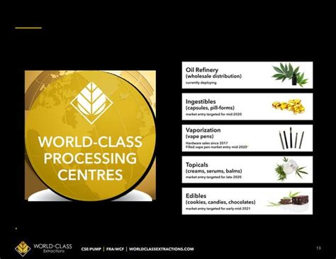 World Class Extractions Investor Presentation Ppt World Class Extractions Investor Presentation Ppt