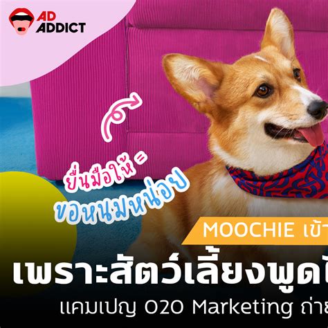 Ad Addict 3 สาย Programmer สกิล Programming เพิ่มทักษะพัฒนานวัตกรรมรองรับโลกใหม่ แน่นอนว่า
