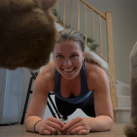 Holiday Hiit Challenge Kitten House Cat Facebook High Intensity