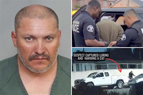 Alleged Serial Cat Killer Caught In California Cops Totalnews