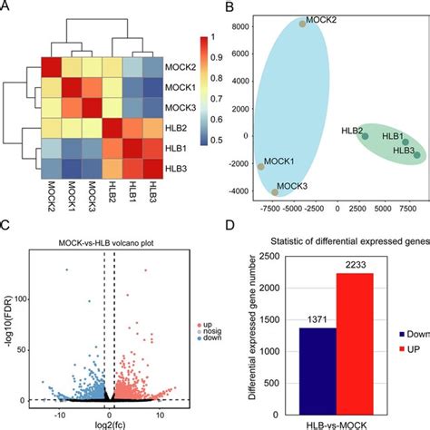 Comparison Transcriptome Analysis Of Clas Free And Infected Citrus Download Scientific Diagram