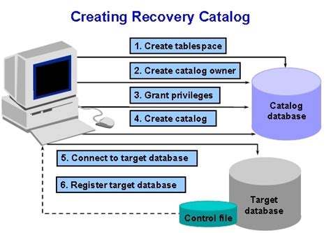 oracle 学习之rman（十六）catalog 51cto博客 oracle catalog