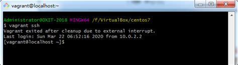 Vagrant创建centos并部署安装docker（2020实操图解）centos Vagrant Docker Csdn博客