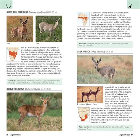 Pocket Guide To Mammals Of East Africa Struik Nature