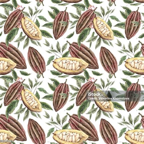 코코아 콩은 갈색 전체와 반 녹색 잎과 분홍색 꽃이 있습니다 흰색 배경에 손으로 그린 수채화 패턴 식품 포장 디자인 초콜릿 브랜딩 유기농 제품 메뉴 갈색에 대한 스톡 벡터
