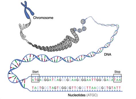 Data Sonification Timothy Moyers