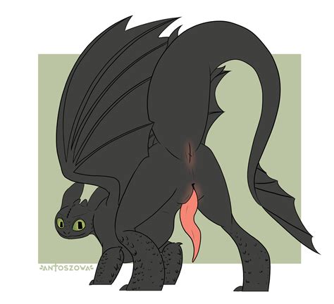 Rule 34 Animal Genitalia Antoszowa Anus Dragon Dreamworks European