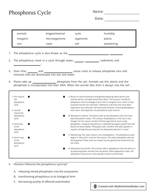 Phosphorus Cycle My Worksheet Maker Create Your Own Worksheets