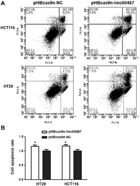 A Using Flow Cytometry To Assess The Percentage Of Apoptotic Cells 48 Download Scientific