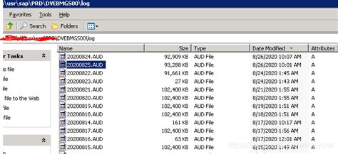 sap sm19账号监控审计文件 csdn博客