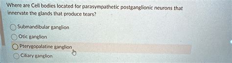 Where Are Cell Bodies Located For Parasympathetic Postganglionic Neurons That Innervate The