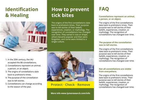 Personalize This Simple Lyme Disease Information Trifold Brochure