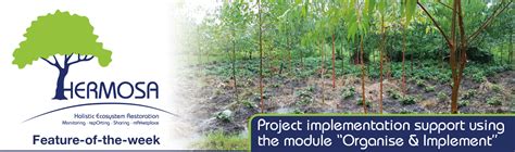 Project Implementation Support Using The Module “organise And Implement”