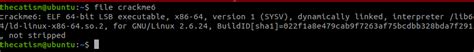 TryHackMe Reversing ELF TheCatism